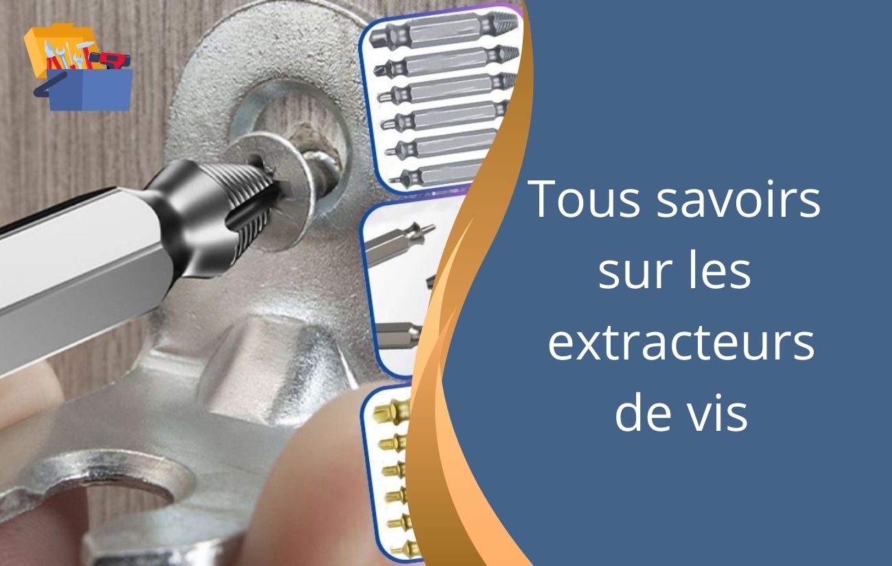 Extracteur De Vis Brico Depot
